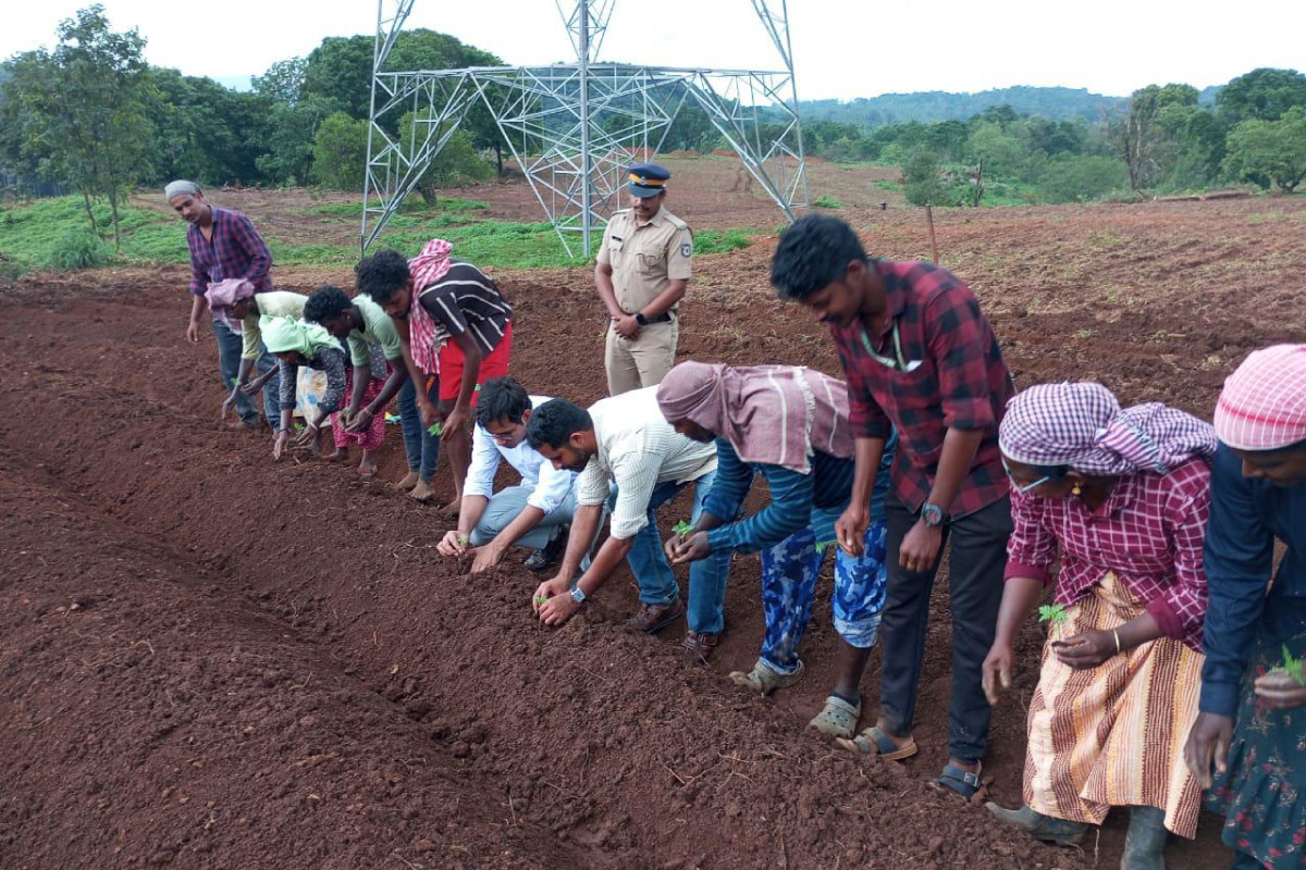 Photo gallery - Aralam Farm