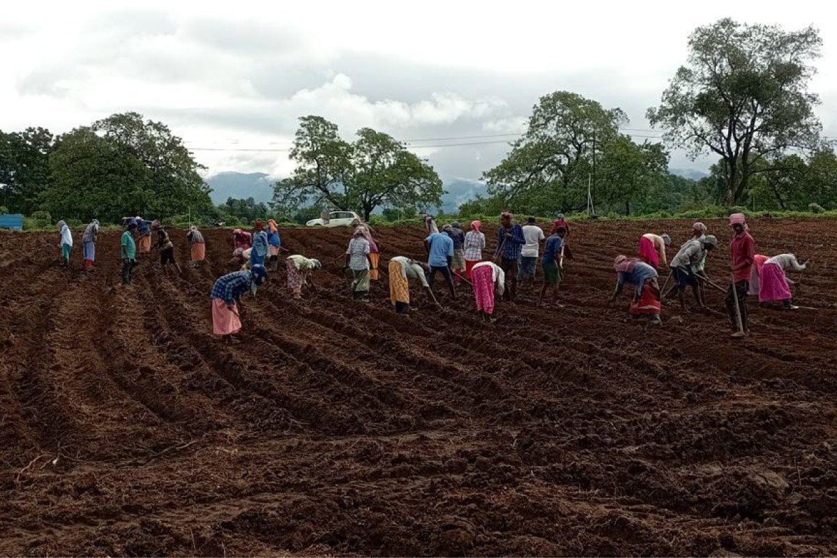 Photo gallery - Aralam Farm