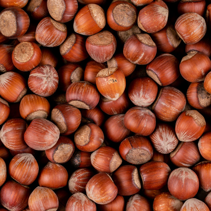 Aralam Farm - Wildlife Sanctuary in Kannur